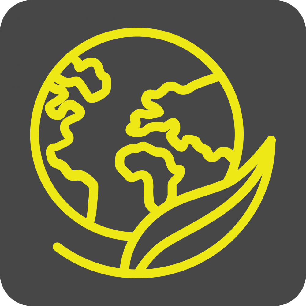 Reusable Pallets – RM2